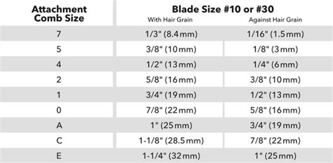 All About Blades Animal Behavior College
