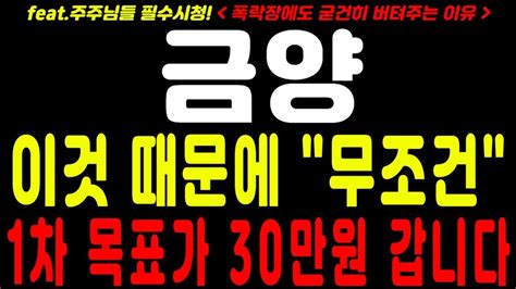 금양 주가전망 속보 이것 때문에 무조건 1차목표가 30만원 갑니다 이때 주목하세요 4695 테슬라가 주목하는 기업 Youtube
