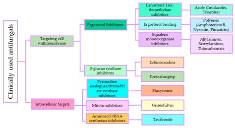 Potential Strategies To Control The Risk Of Antifungal Resistance In Humans A Comprehensive Review