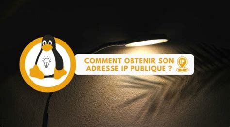 Obtenir Son Adresse Ip Publique Sous Linux