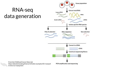 Chapter 12 Bulk Rna Seq Choosing Genomics Tools
