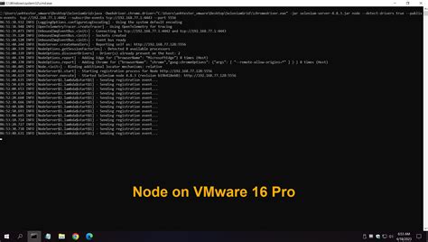 🐛 Bug Node Not Registering On Hub For Selenium Grid 4 On Vmware