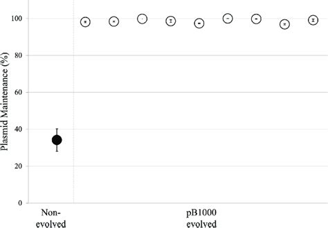 Plasmid Maintenance Was Measured For 10 Days 100 Generations Or Download Scientific