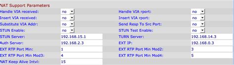 Nat Support Parameters Configuration On Spa8000 Phone Adapter Cisco