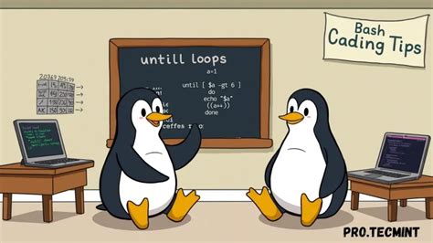 How To Use Until Loops And Case Statements In Bash