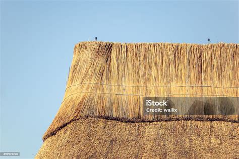 Detail Of A Thatched Roof House Using Reed Grass As Building Material