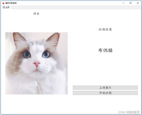 深度学习设计基于tensorflow卷积神经网络猫的品种识别系统深度学习logic对猫分类 Csdn博客
