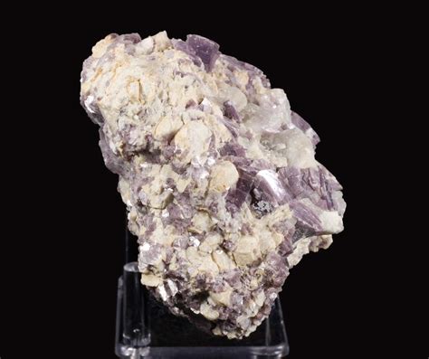 Lepidolite Wiki Steven Universe Amino