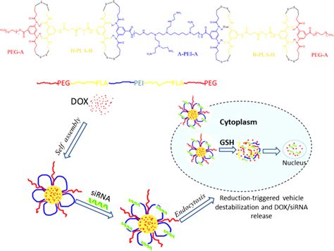 Illustration Of Pentablock Copolymer Micelles For Controlled Release Of Download Scientific