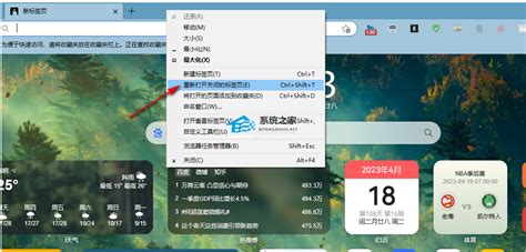 Edge浏览器关闭后再次打开会恢复之前的网页教程 系统之家