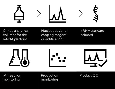 Mrna Purification And Analytics Sartorius Bia Separations