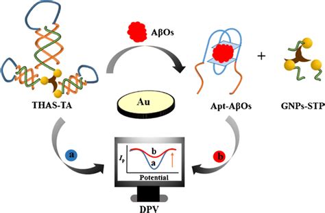 An Excellent Electrochemical Aptasensor For Amyloid β Oligomers Based On A Triple Helix Aptamer