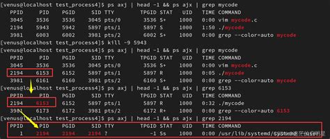 《linux从练气到飞升》no13 Linux进程状态 Csdn博客