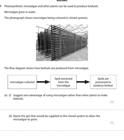 Gcse Edexcel Biology Photosynthesis Photosynthetic Microalgae And Ot