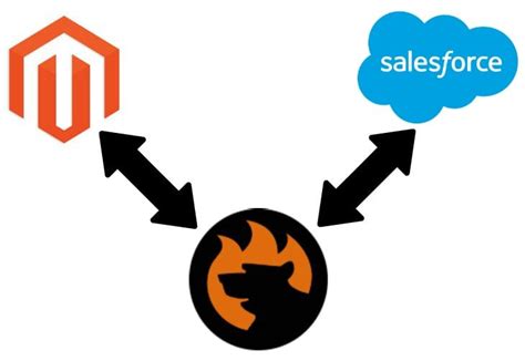 Everything You Need To Know About Magento 2 Salesforce Integration Firebear