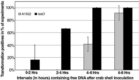 Transformation Frequency As A Function Of Cell Density Transformation