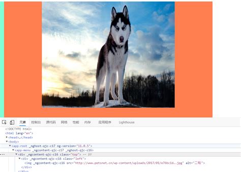 angular从 到 样式 css 的使用 上 longkui 博客园