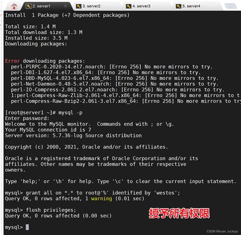 Linux企业应用——mysql（三）之mysql读写分离，mysql高可用halinux Mysql H Csdn博客