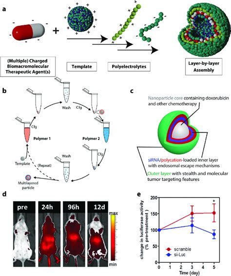 A Schematic Representation Of Layer By Layer Lbl Assemblies B Download Scientific