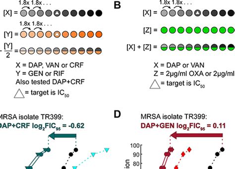 In Vitro Identification Of Underutilized β Lactam Combinations Against Methicillin Resistant