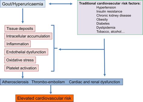 Frontiers Gout And Hyperuricaemia Modifiable Cardiovascular Risk Factors