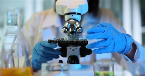 Medic Puts Glass Slide With Specimen On Microscope In Lab Stock Footage Video Of Experiment