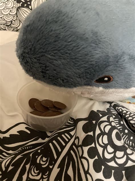 Nom nom : r/BLAHAJ