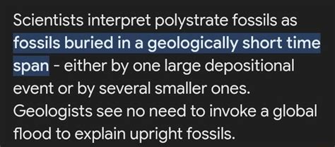 Scientists Interpret Polystrate Fossils As Fossils Buried In A Geologically Short Time Span