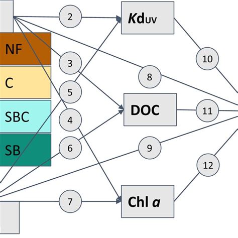 Base Model With All Possible Direct And Indirect Paths Between