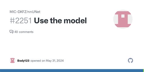 Use The Model Issue MIC DKFZ NnUNet GitHub