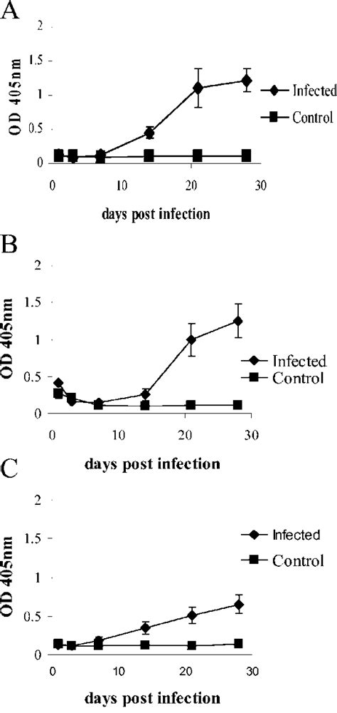 Specific Serum Antibody Response To Salmonella Serovar Typhimurium