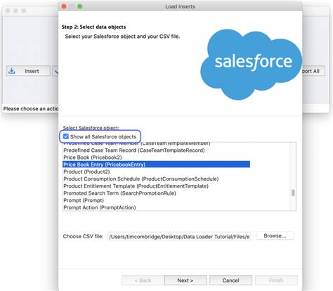 Importing Price Lists Into Salesforce Data Loader Tutorial