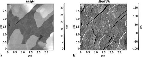 Experimental Angular Dependence Of X Ray Reflectivity And Fluorescence