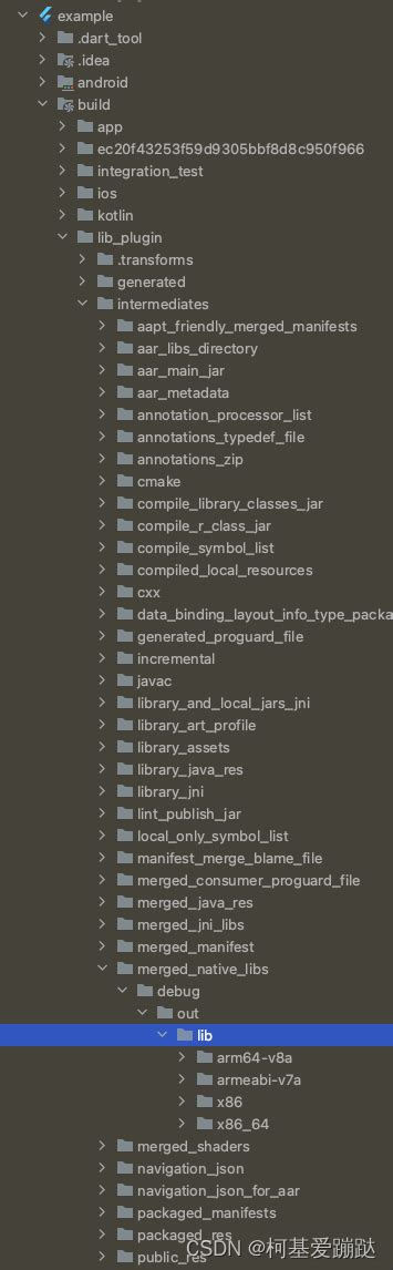 flutter 直接调用so动态库，或调用c c 源文件内函数 dynamiclibrary open csdn博客