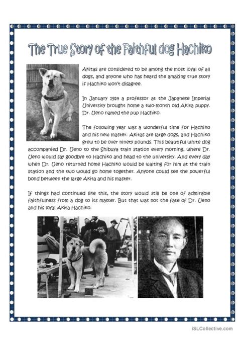 Hachiko Story | atelier-yuwa.ciao.jp