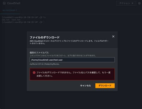 aws cloudshell におけるファイルのアップロード・ダウンロードを禁止する権限を試してみた developersio