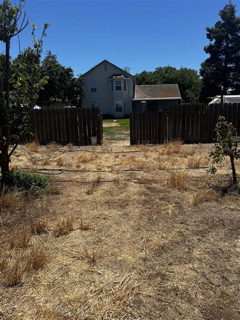 Starlink Mini Wifi Distance Rstarlink Starlink Mini Wifi Distance Rstarlink