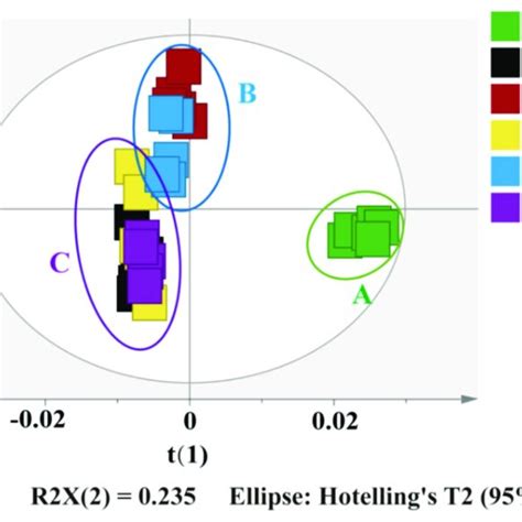 Pca Scores Plot Derived From The 1 H Nmr Data For Hepg2 Cell Extracts Download Scientific