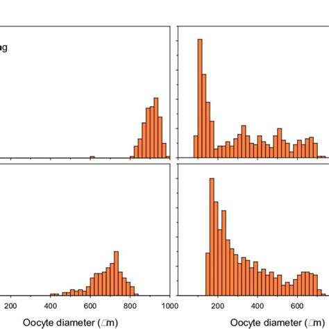 45 Oocyte Size Frequency Histograms For Atlantic Herring Clupea