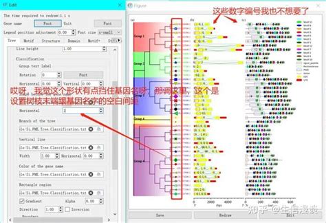零代码 超级实用绘制基因家族结构图进化树组合图 知乎