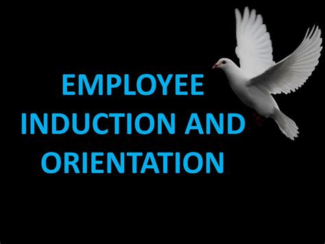 Pdf Employee Induction And Orientation Dokumen Tips