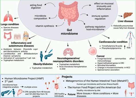 Figure 1 From Comparison Of Metagenomics And Metatranscriptomics Tools
