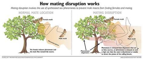 Good To Know The Disruption Eruption Good Fruit Grower
