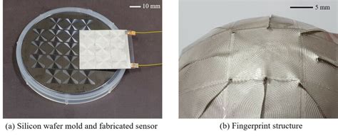 Wafer Mold And Fabricated Sensor Download Scientific Diagram