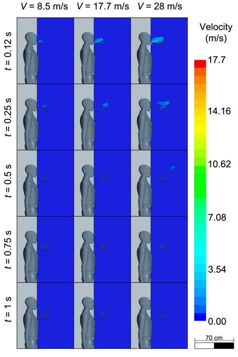 Figure 1 From Numerical Modeling Of The Spread Of Cough Saliva Droplets In A Calm Confined Space