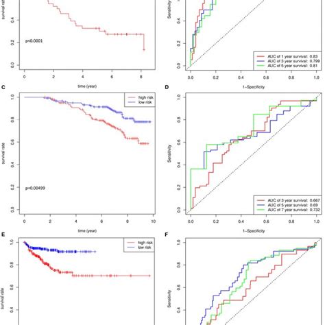 Prognosis Analysis In Training And Validation Datasets Kaplan‐meier
