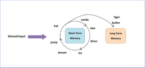 Psych 1x03 Memory Flashcards Quizlet