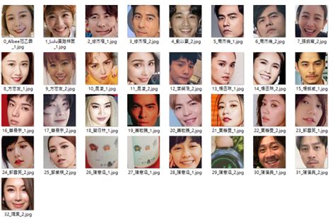 Yys Program Face Detection With Emgucv Haar And Dnn