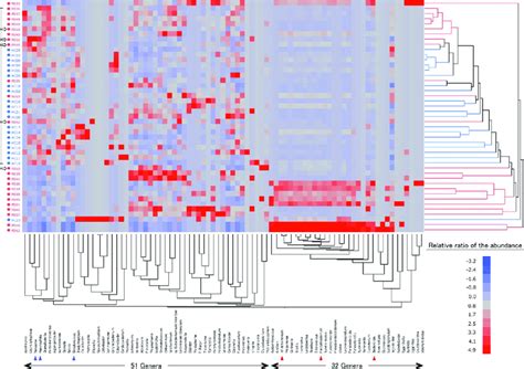 Double Hierarchical Clustering Analysis The Samples From 45 Subjects