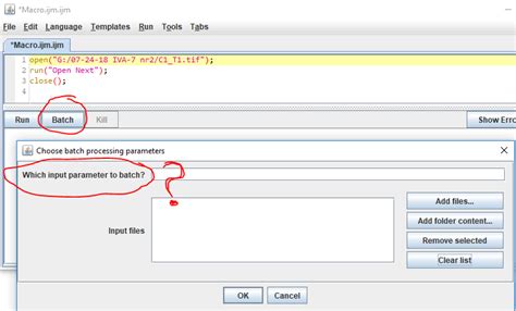 Purpose Of Fiji Script Editor Batch Button Usage And Issues Imagesc Forum